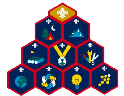 Scout Website