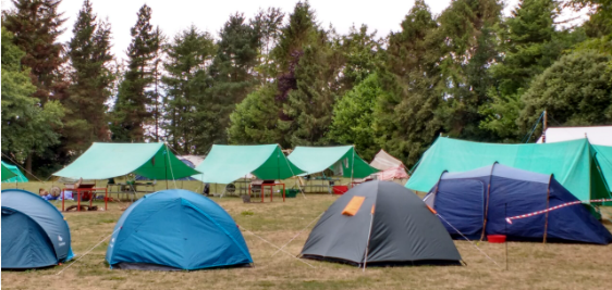 Scout Website