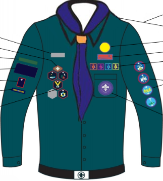 Scout Website